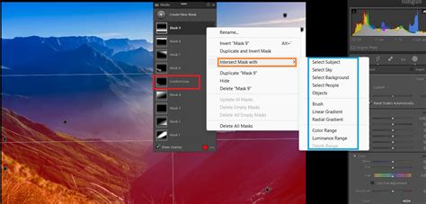 p masking like to reuse my lr masks in intersec adobe product