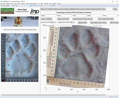 The Footprint Identification Technique Fit Feature Extraction Window Download Scientific