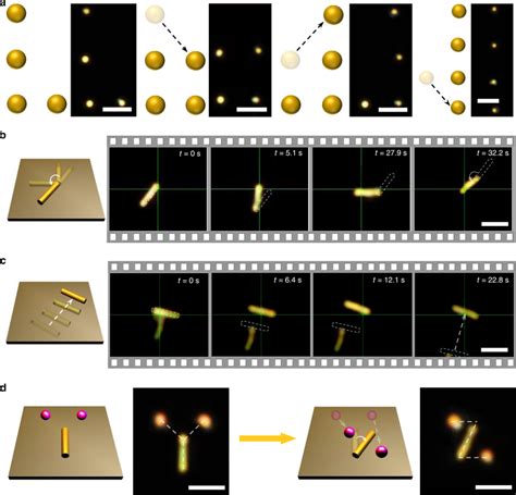 Reconfigurable Patterning Of Particles And Nanowires A Reconfigurable