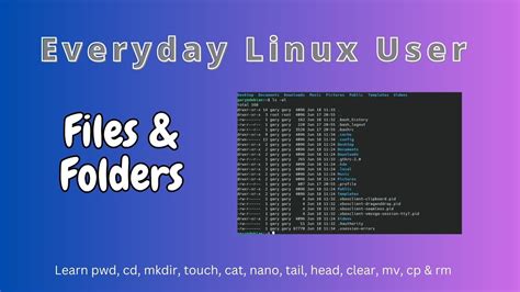 Learn How To Use Files And Folders Using The Linux Terminal Youtube