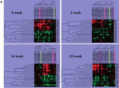 A Cluster Analysis Of Gene Expression Profile At 0 2 14 And 22