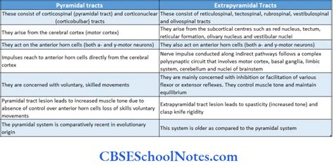 Ascending Descending Tracts Of The Spinal Cord Notes Cbse School Notes
