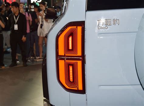 Equation Leopard 5 Photo