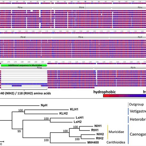 Phylogenetic Sequence Analysis The Sequence Alignment A And The