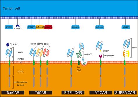 Upgrades Of Various Car Constructs Classic Car Structure Download Scientific Diagram