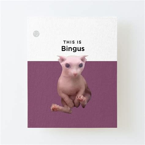 Bingus Wallpapers Top Free Bingus Backgrounds Wallpaperaccess