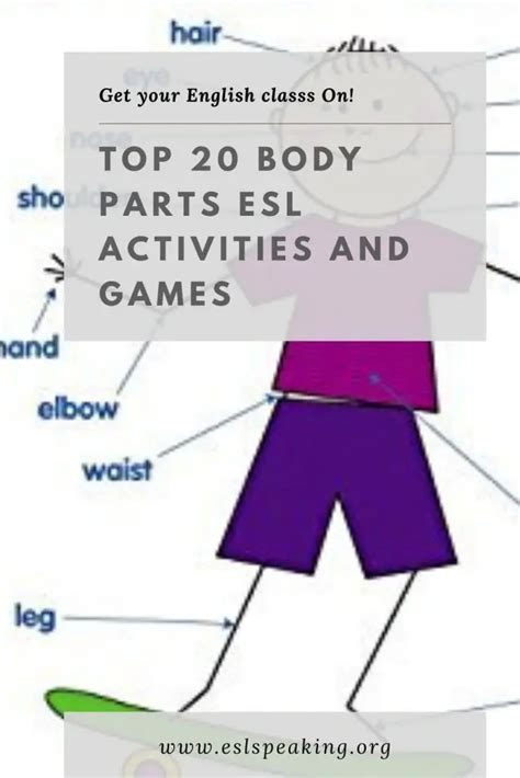 Body Parts ESL Games Activities Lesson Plans Parts Of The Body