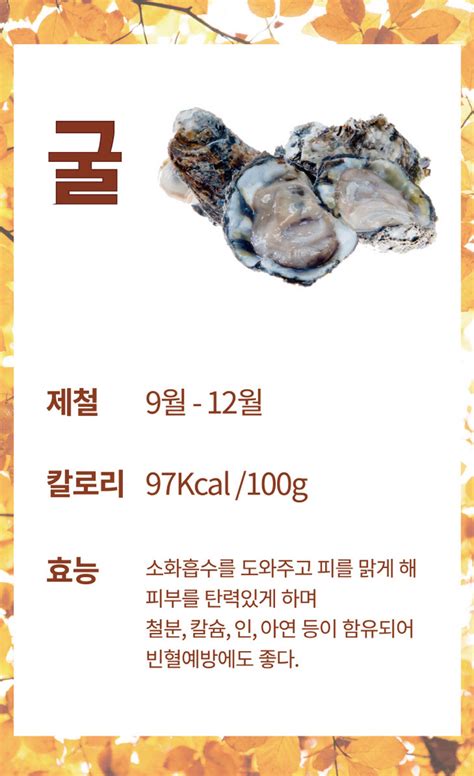 [카드뉴스] 맛과 건강 다 챙기는 9월 제철음식은 브릿지경제
