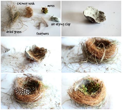 Making A Realistic Bird S Nest Bird Nest Craft Bird Nest Easter Crafts