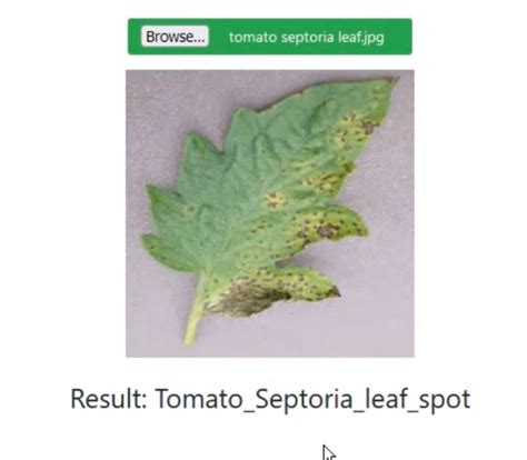 Plant Disease Detection Model Using Tensorflow Deep Learning Projects
