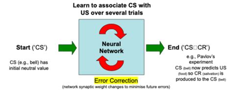 L2 Spatial Memory And The Hippocampal Formation Flashcards Quizlet