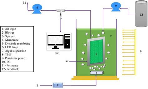 Research Article An Investigation Into The Efficiency Of Microalgal