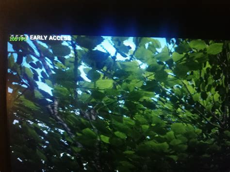 The Tree Optimization Bug Report Pixeltail Games Creators Of Tower Unite