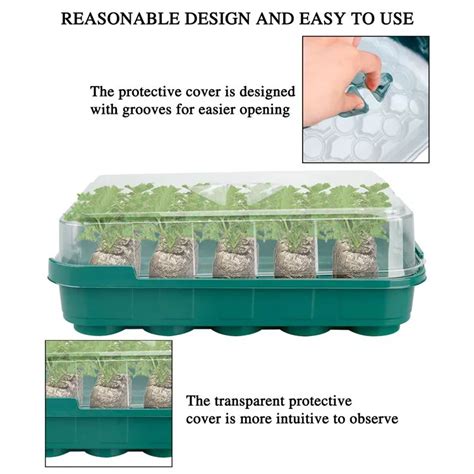 Seed Germination Kit