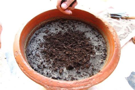 Грунт для петуний