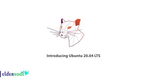 Tutorial How To Monetize Linux VPS Step By Step