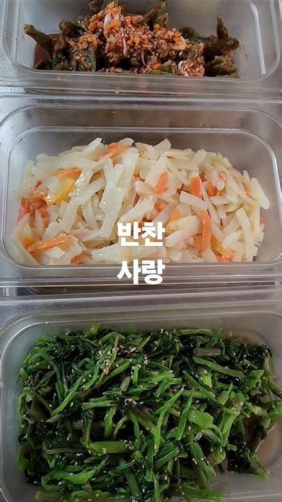 반찬에 진심을담다 식탁위의텃밭 맛집 꿀팁 래스피 Food 요리배우기 Koreanfood 레시피 집밥 가족밥상 반찬만들기 요리하기 Youtube