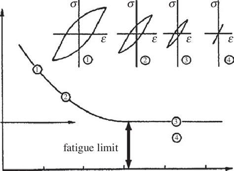 Schematic Wöhler Curve With A Fatigue Limit With Indication Of Download Scientific Diagram