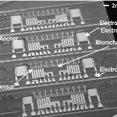 Fabricated Microfluidic System With Integrated Interconnect Download Scientific Diagram