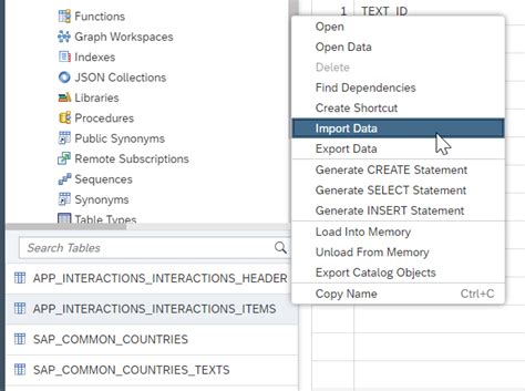 Create Database Artifacts Using Core Data Services Cds For Sap Hana Cloud Sap Tutorials