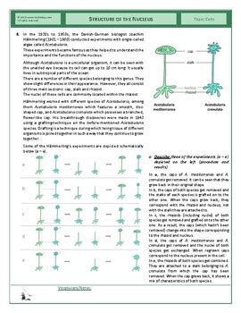 Structure Of The Nucleus Solution By NoWorriesBiology TPT