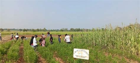 Ashwitha Reddy On Linkedin Agriculture Sruniversity