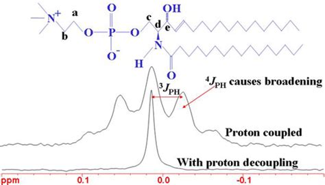 31phosphorus Nmr