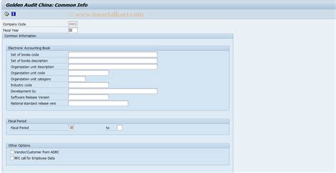 GACN COMMON SAP Tcode Golden Audit Common Info China