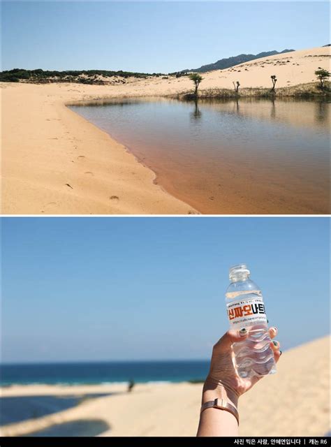 베트남 자유여행 나트랑 근교 판랑 사막 원데이 투어 네이버 블로그