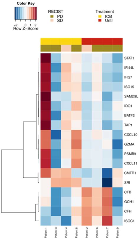 Rna Expression Of Genes Regulated By Interferon Gamma Is Upregulated In Download Scientific
