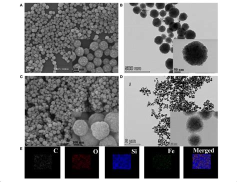 A SEM Images Of Fe 3 O 4 B TEM Images Of Fe 3 O 4 C SEM Download Scientific Diagram