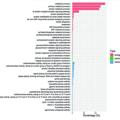 The 20 Most Enriched Kegg Pathways Of The Predicted Target Genes Of