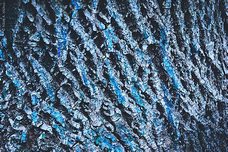 Royalty Free Photo Beige And Brown Wood PickPik