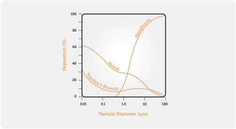 Particle Deposition Bronchiectasis