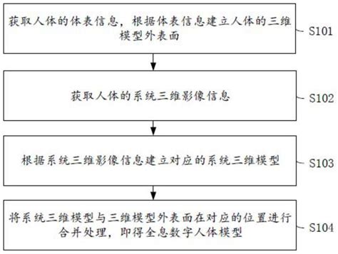 Holographic Digital Human Body Modeling Method And Device Eureka Patsnap