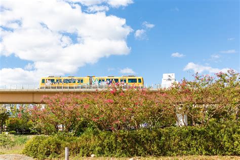 충청북도청소년종합진흥원청소년활동진흥센터 청소년증으로 영풍문고 할인 받으세요 충청북도 청소년 여러분~😍 청소년증 발급받으셨죠 설마 아직 안받으셨나요😢😢