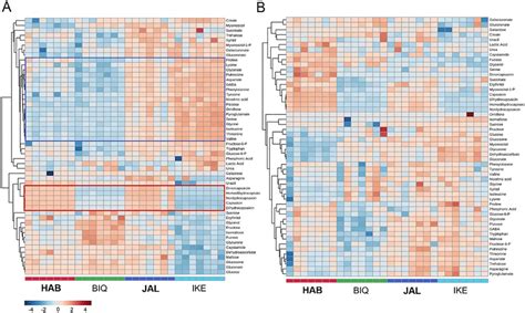 Hierarchical Clustering And Heat Map Of Primary Metabolites In A The Download Scientific