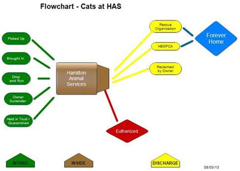 Rescue Cats From Hamilton Ontario
