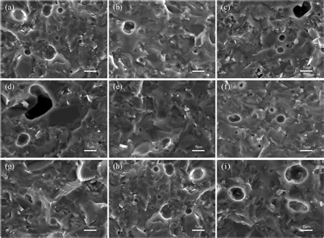 Sem Micrographs Of The Cbs Al2o3 Sio2 Composites A S1 St 850 °c B