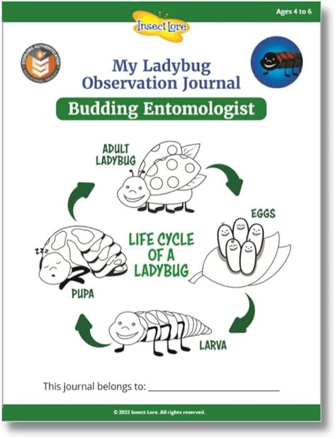Ladybug Larva Coloring Pages 2025