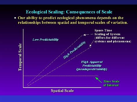Emergence Of Landscape Ecology Equilibrium View Structure Function