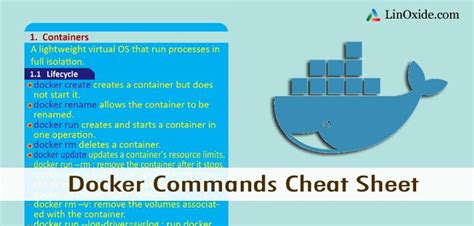 This Tutorial Brings A Complete List Of Docker Commands In A Cheat