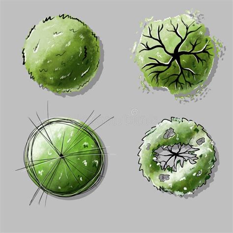 Landscape Architect Design Tree Plan Type Of Turf In Different Types On The General Plan Stock