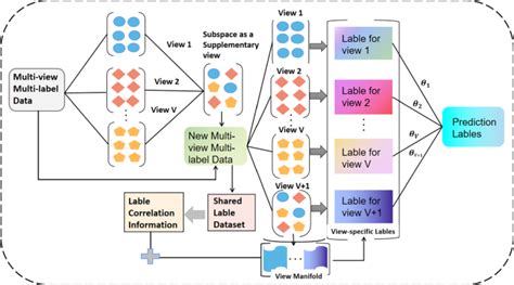 Multi View Fusion And View Specific Labels Learning For Multi Label