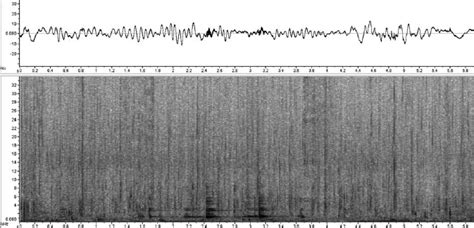 In This Spectrogram It Is Possible To Identify A Noise With Download Scientific Diagram