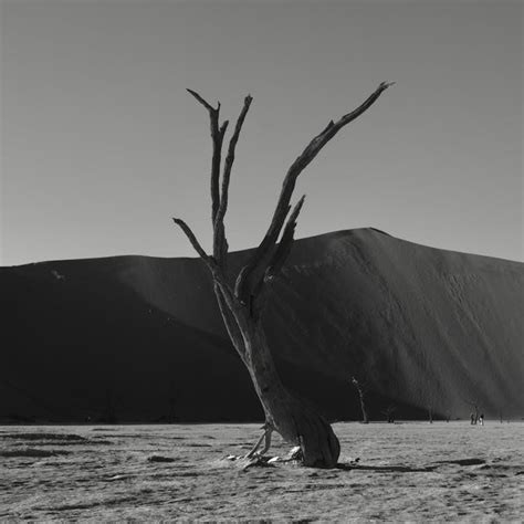 거친 건조한 경치 경치가 좋은 고독 고립된 고요한 광야 광활한 나미비아 남서 아프리카 대기의 대조 대조되는 뚜렷한 매일열 메마른 모래 모래