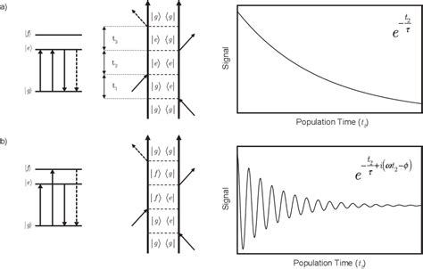 Figure 1 From Global Analysis Of Coherence And Population Dynamics In 2d Electronic Spectroscopy