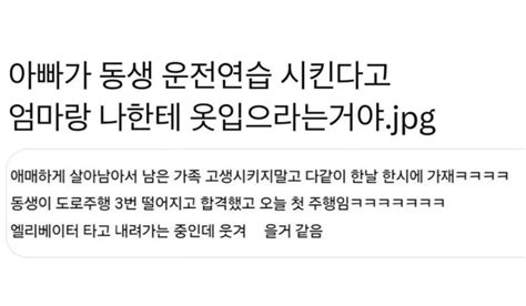 한국 길냥이가 운영하는 페이지 맨발로 뛰올듯 소통 좋아요 팔로우늘리기 좋아요반사 좋반 좋아요늘리기 팔로우 팔로우미 맞팔 맞좋 일상 좋아요꾹 셀스타