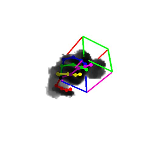 Icg Joint 3d Hand Object Pose Estimation