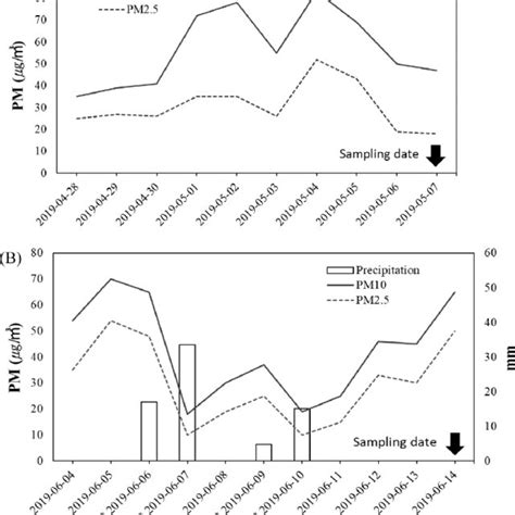 Stereoscopic Microscope Observation Of Buxus Koreana A Taxus
